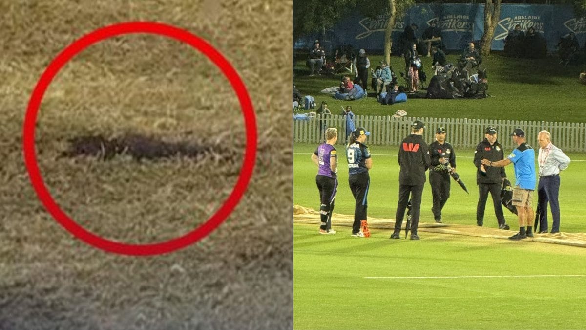 In A First, Cricket Match In Australia Abandoned After Warm Up Ball ...