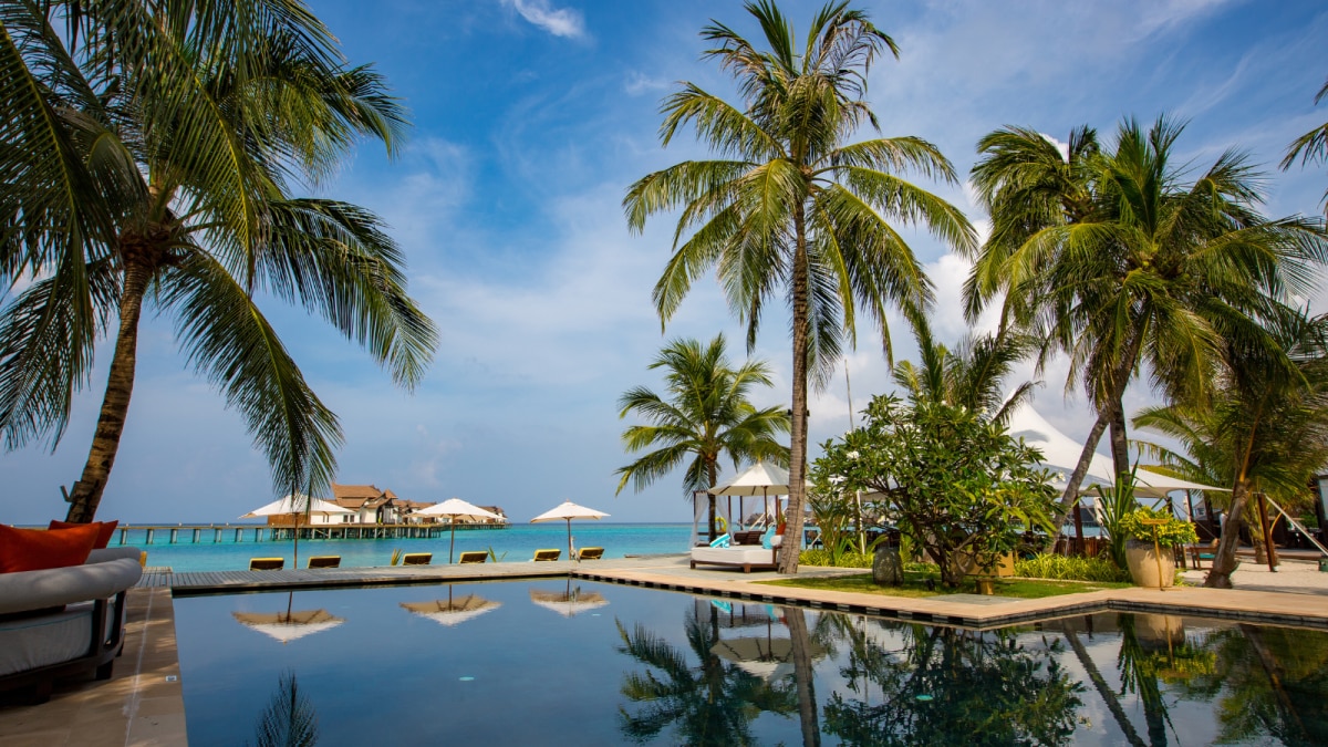 A Symphony Of Flavours: Dining Through Continents At OZEN Reserve ...