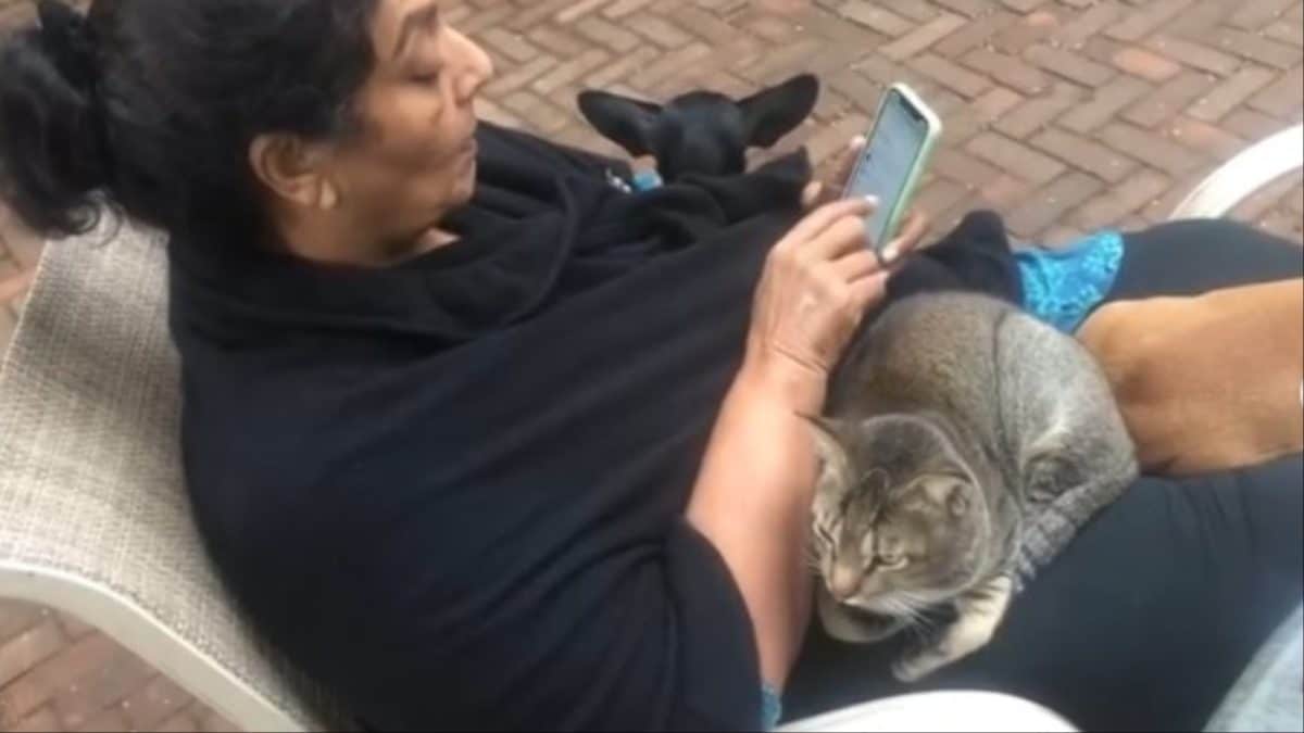 'My Little Universe Of Fur': Renuka Chowdhury Shares Moments With Her ...