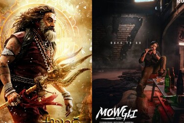 Mowgli News: Latest Mowgli News and Updates at News18