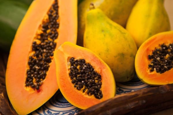 Papaya News: Latest Papaya News and Updates at News18