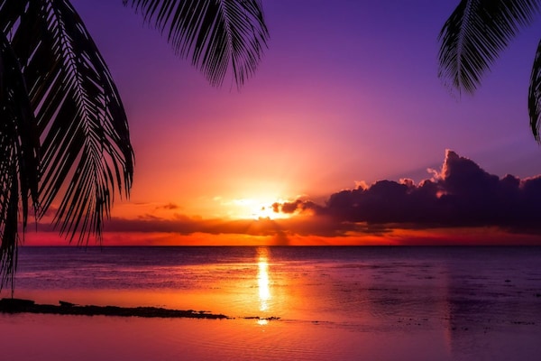 Sunset News: Latest Sunset News and Updates at News18