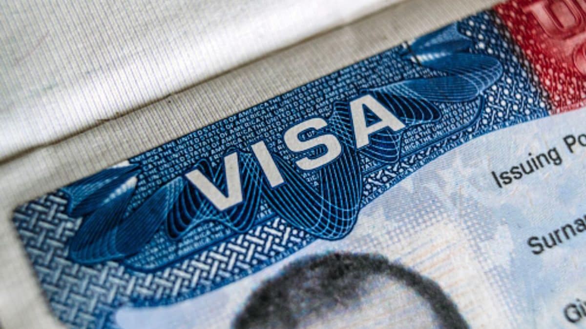 Why US Push For Social Media History Could Redefine Travel For Indians; 'Reputation Border ...