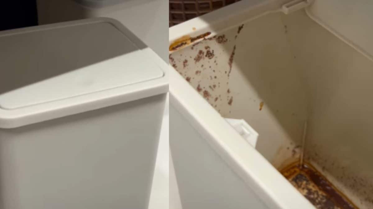 Kanpur Man Finds Gutka-Stained Dustbin Up For ‘Sale’ Inside DIY Store ...