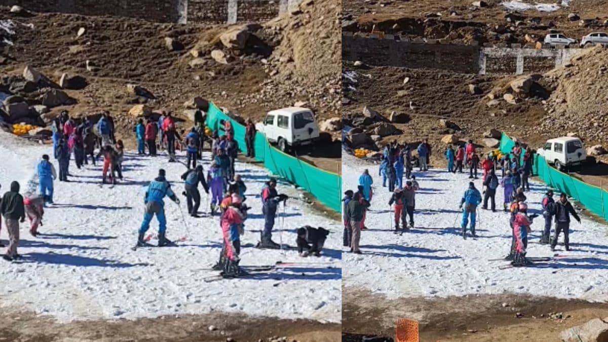 Manali Tourist Captures Tour Guides Running Winter Activities On 'Fake ...