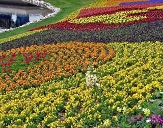 Top 10 Vibrant Festivals To Attend In India In 2026