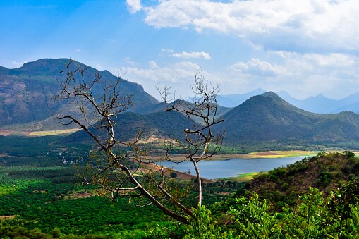 Tamil Nadu’s Hidden Gems: Gorgeous Hill Stations That Are Perfect ...