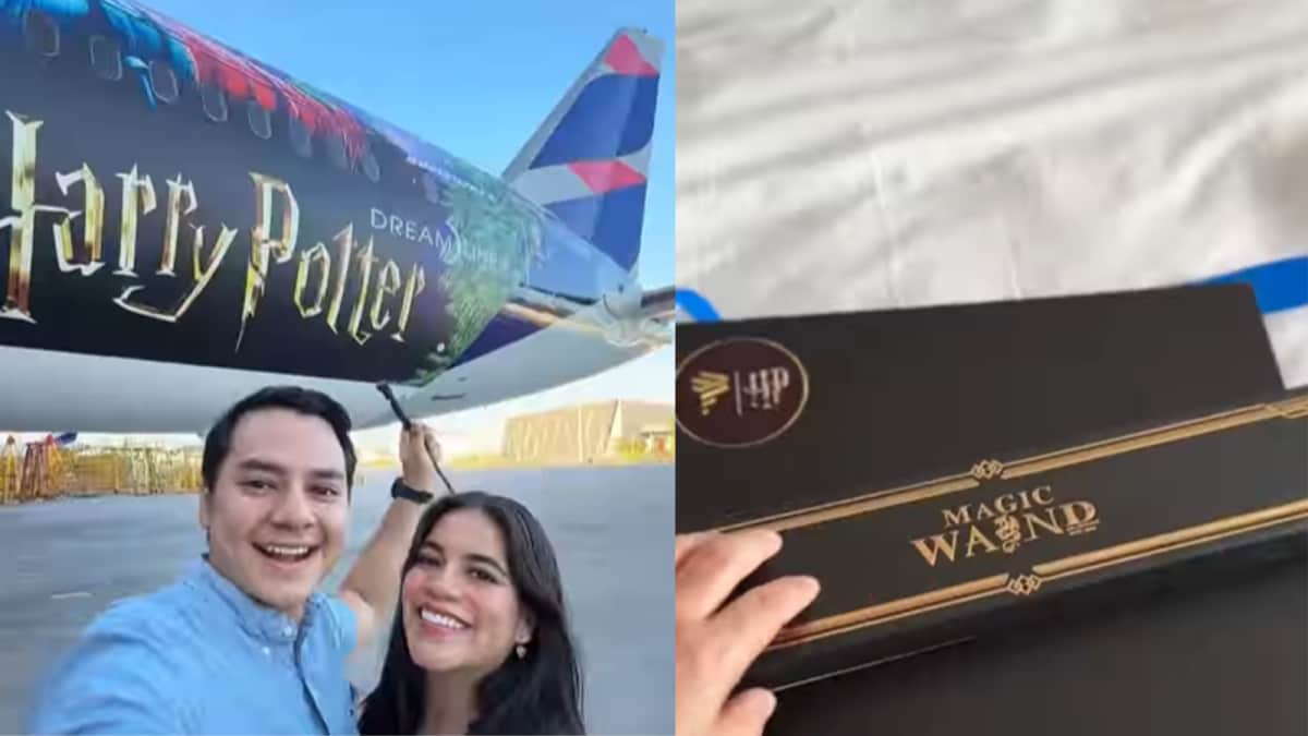 Harry Potter’s Magic Takes To The Skies With Themed-Aircraft — Yes, You ...