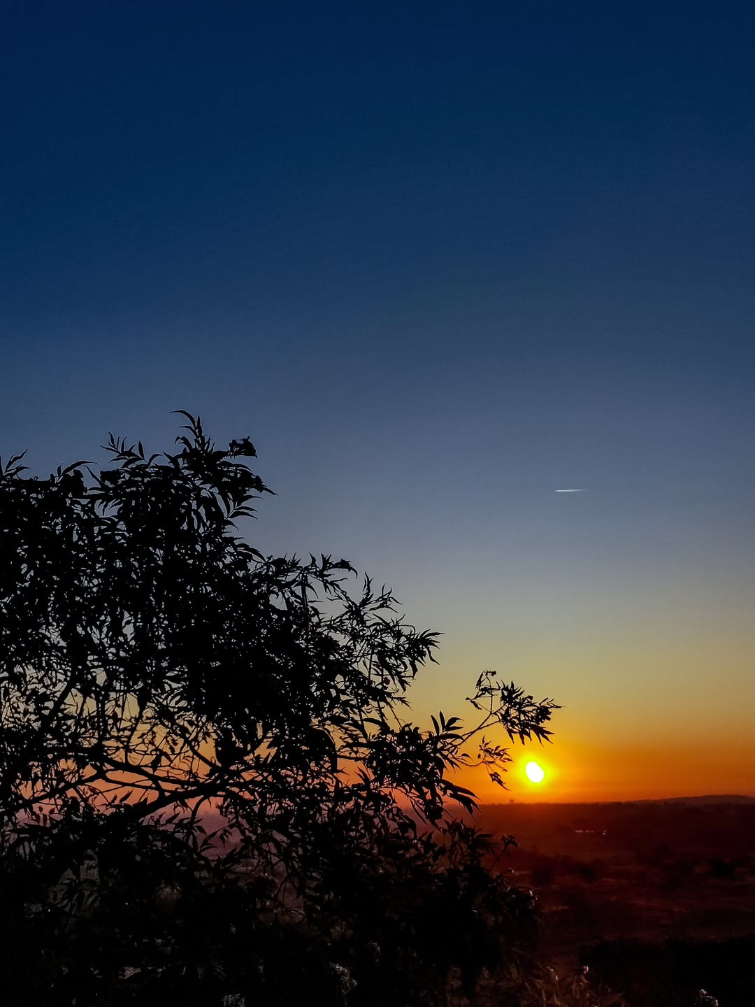 Not Mahabaleshwar, This Town Records Maharashtra’s Coldest Winter Nights