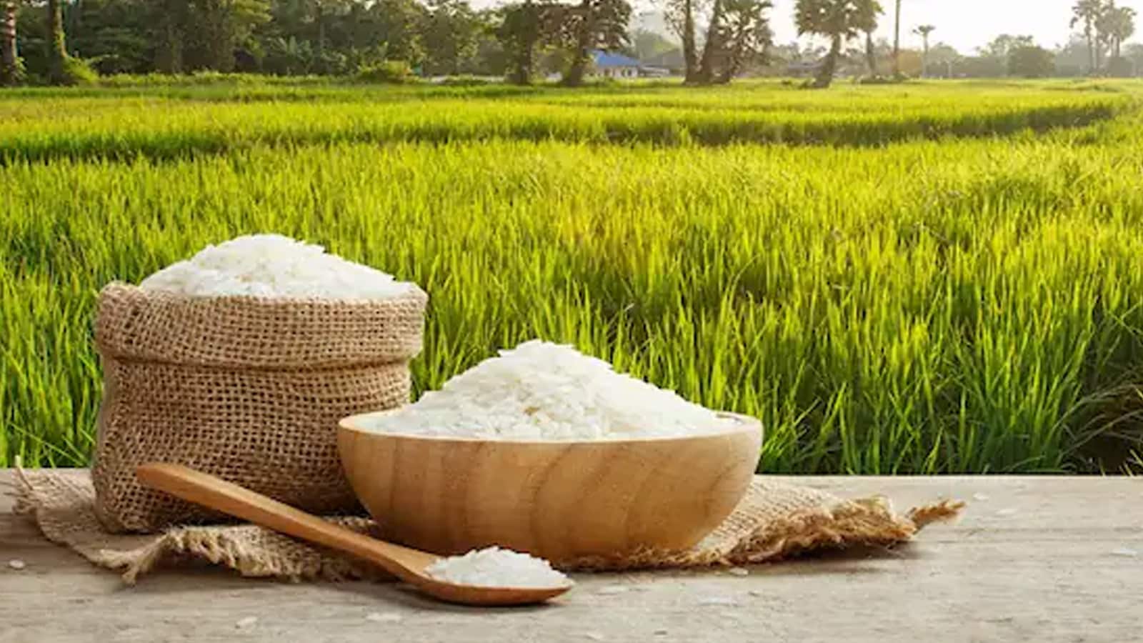 GK: Which State Is Called The Rice Bowl Of India?