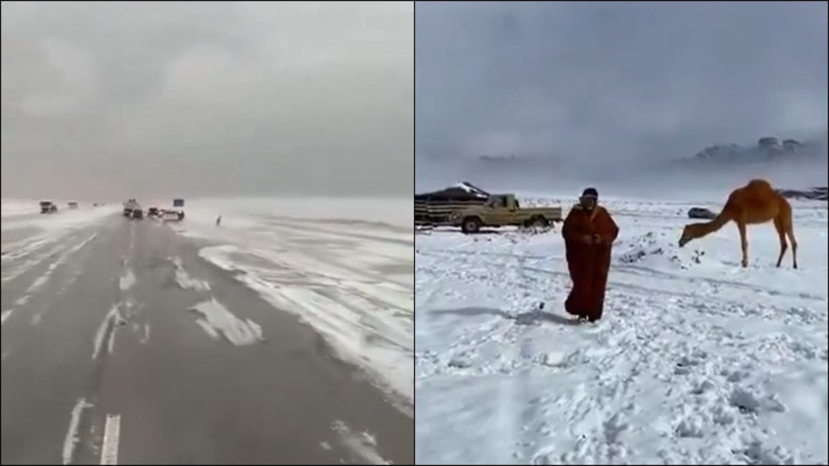Saudi Arabia Covered In White As Rare Snowfall Blankets Gulf Country ...