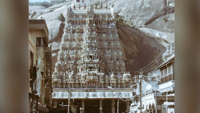 'Cocking A Snook': HC Pulls Up Tamil Nadu Govt For Ignoring Order On ...