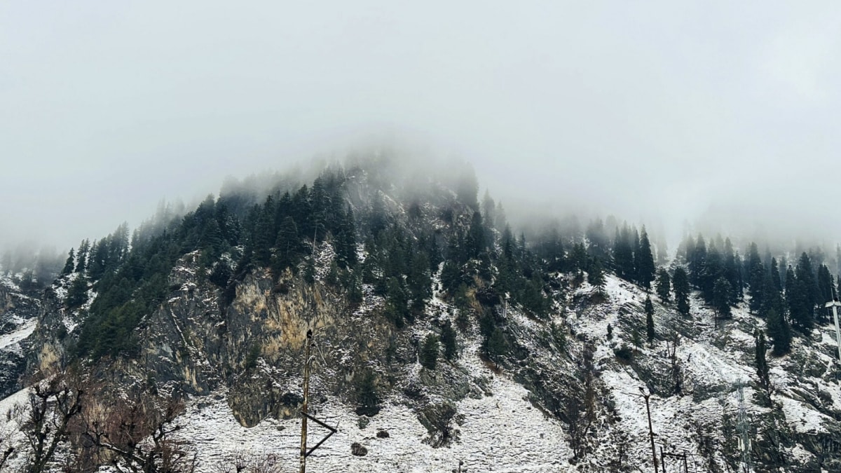 Snow Famine In Uttarakhand: Why Are The Mountains Still Bare And Dry ...