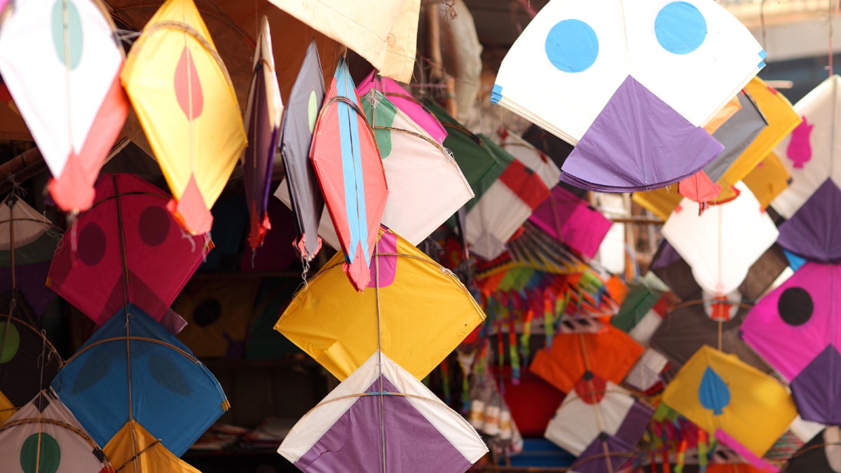 Not Just Gujarat, UP, Why You Should Visit These 7 States To Celebrate ...