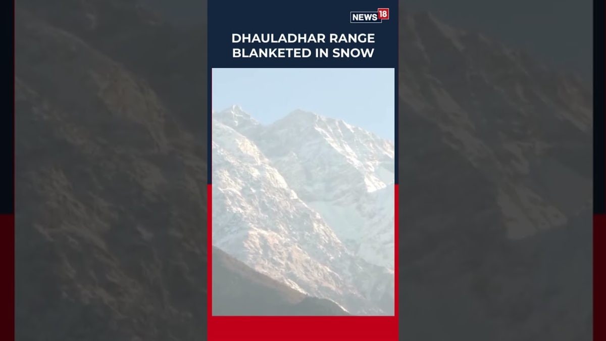 WATCH | Fresh Snowfall Carpets The Dhauladhar Range Near Dharamshala In ...