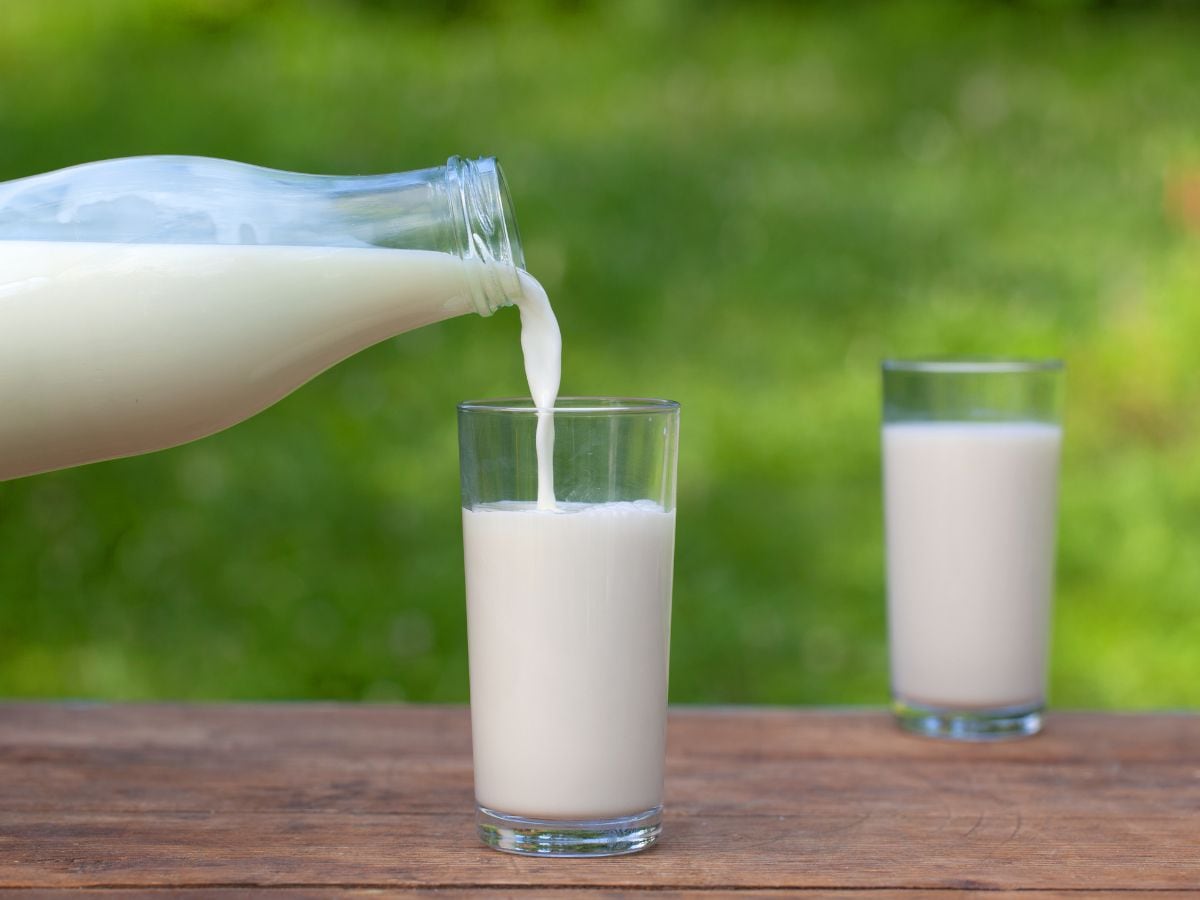 Is Your Milk Pure? Simple Home Tests To Check If It Is Adulterated With ...