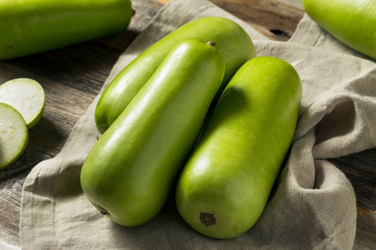 Bottle Gourd Is Not For Everyone, Why Some People Should Avoid This ...