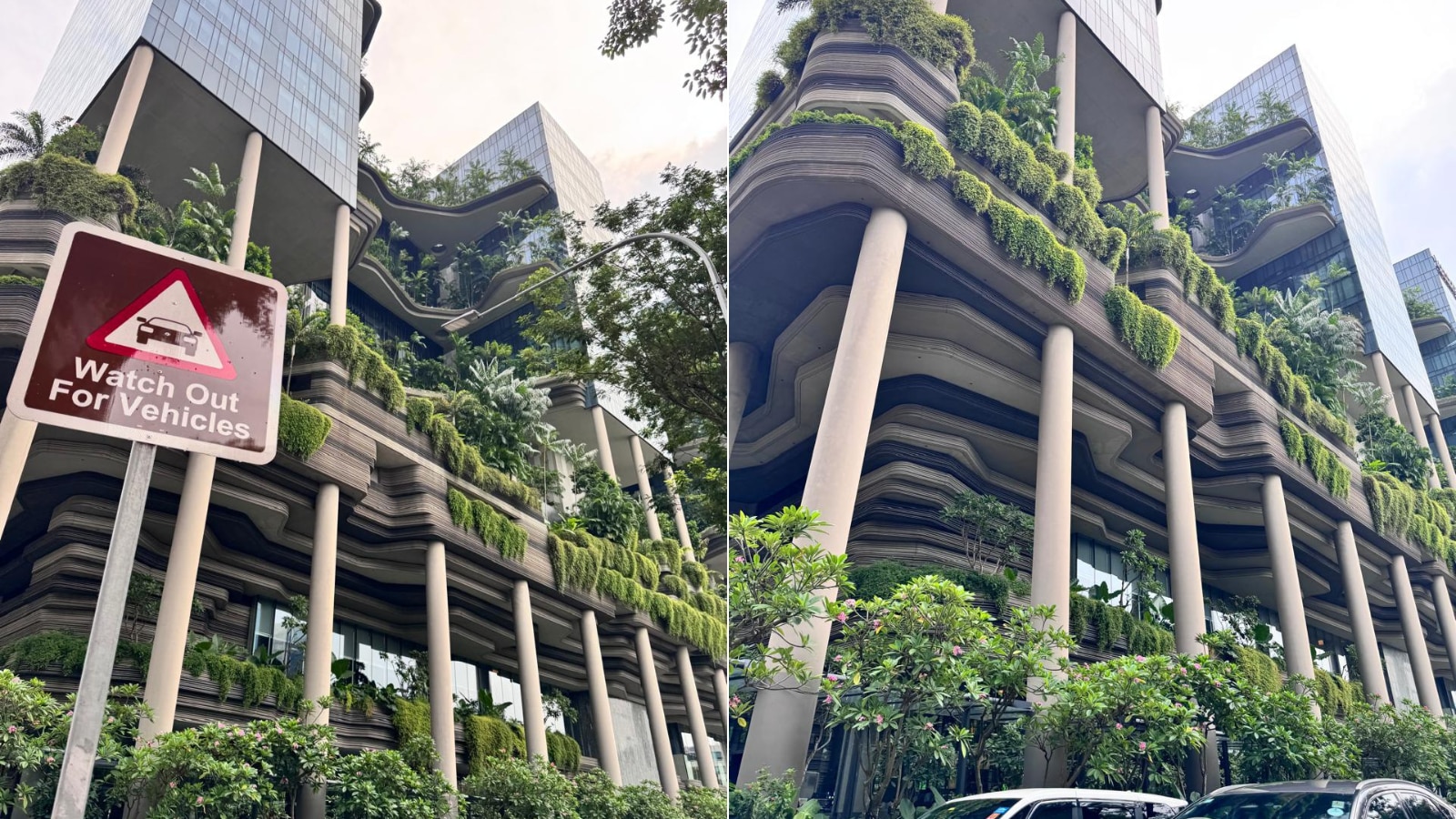 Smaller Than Mumbai: This Country Is So Green That Even Buildings Have ...