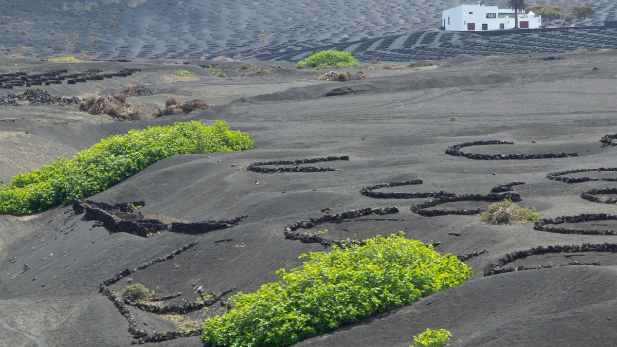 From Black Volcanic Land To Neon-Green Lagoons: Inside A Unique Spanish ...
