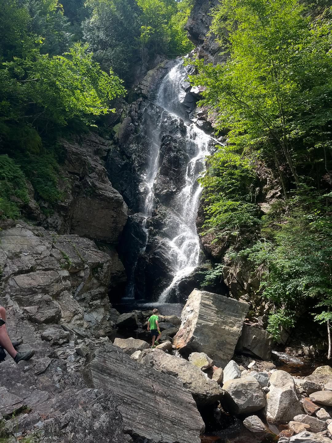 Angel Falls Venezuela: Guide to the Tallest Waterfall in Canaima Park
