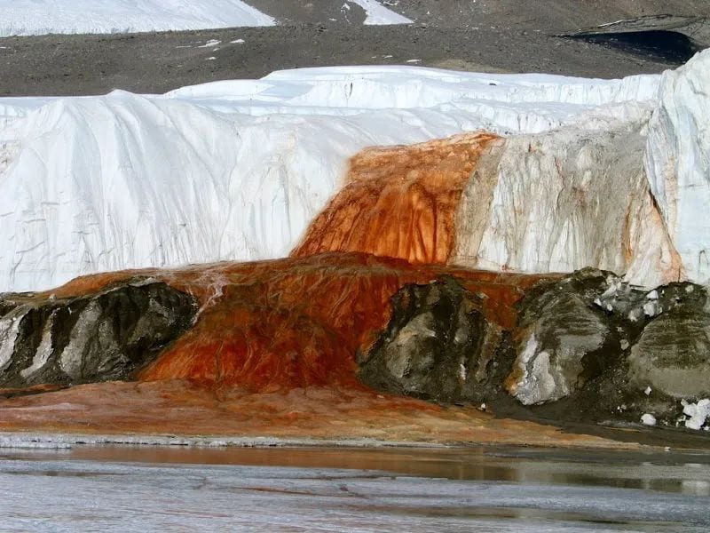 Blood Falls Mystery in Antarctica Solved: Microbes and Scientific ...