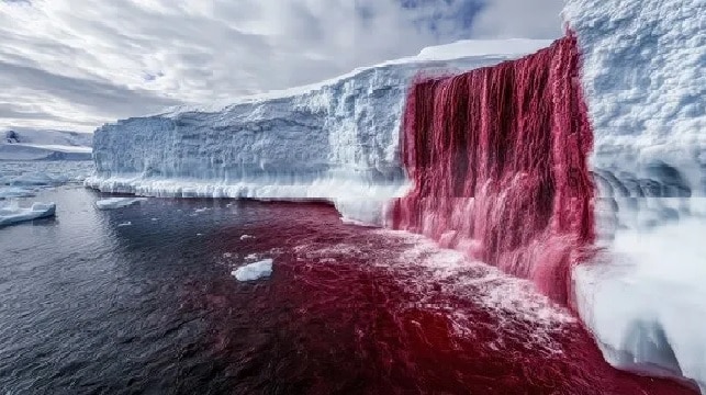 Blood Falls Mystery in Antarctica Solved: Microbes and Scientific ...