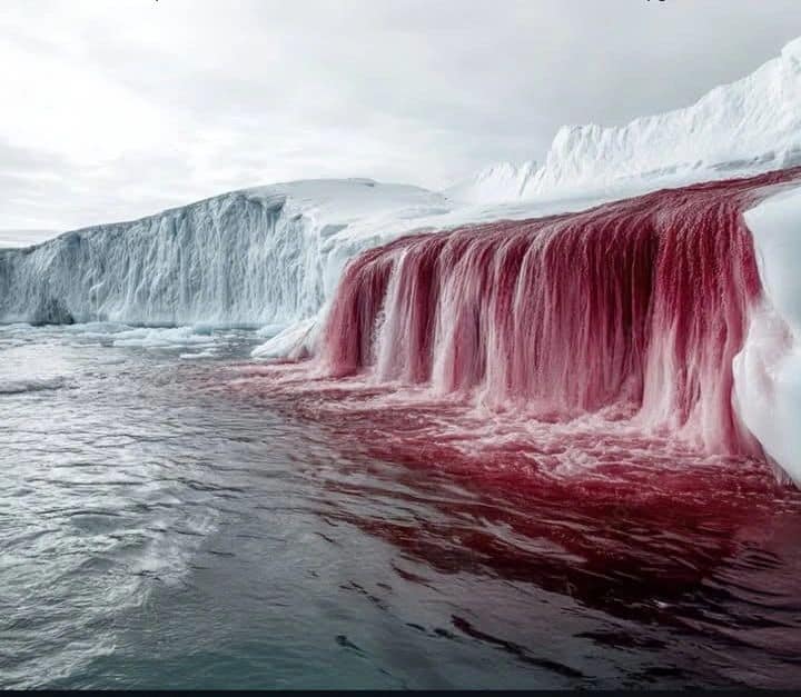 Blood Falls Mystery in Antarctica Solved: Microbes and Scientific ...