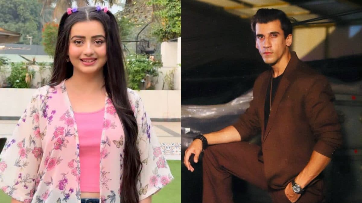 Bigg Boss 18 Star Chahat Pandey, Splitsvilla's Hamid Barkzi Confirmed ...