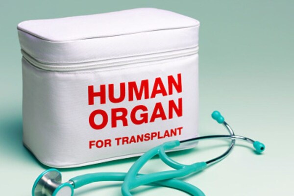 Organ Donation News: Latest Organ Donation News and Updates at News18