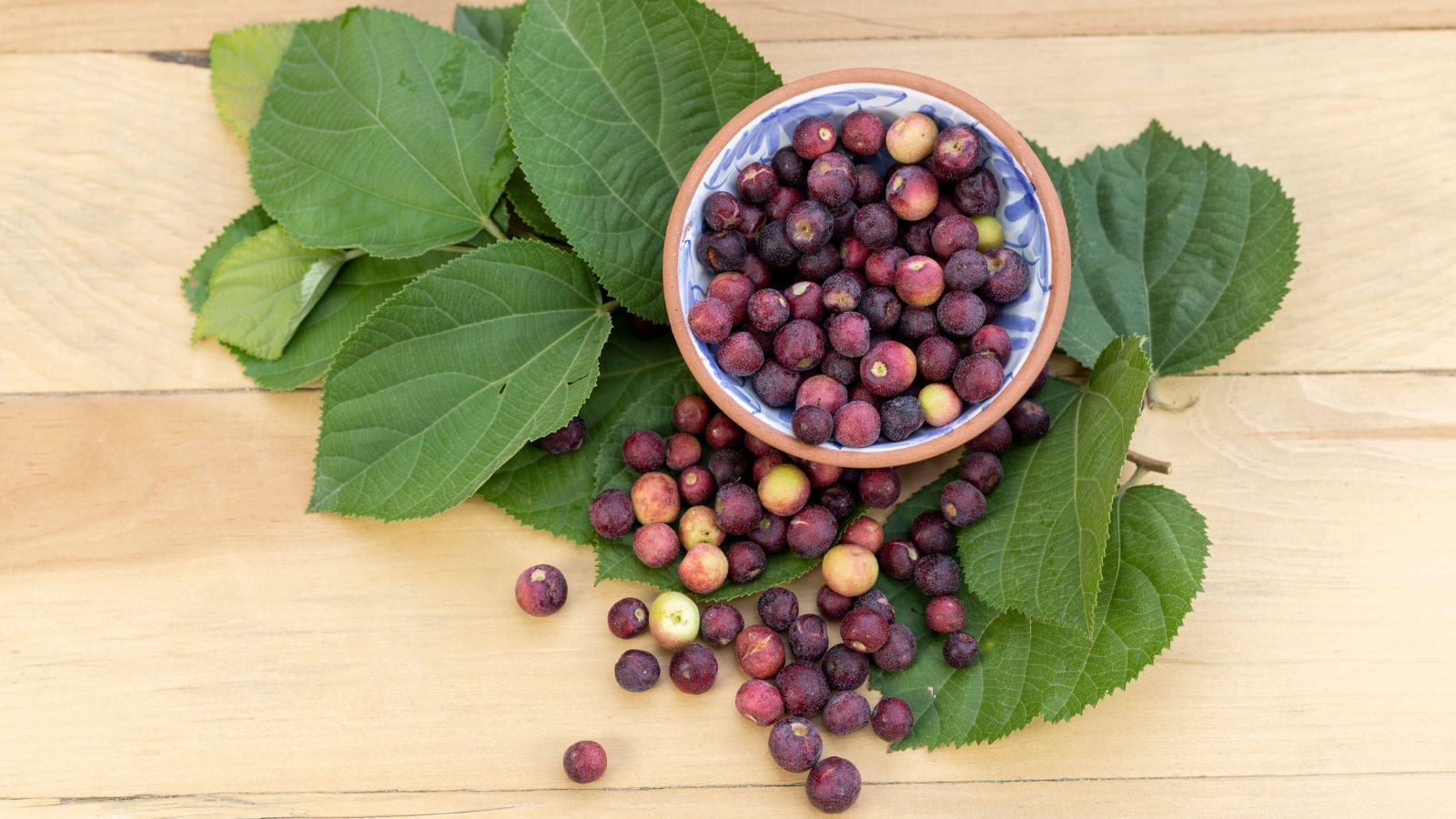 10 Unique Berries Found Only In India And Their Health Benefits