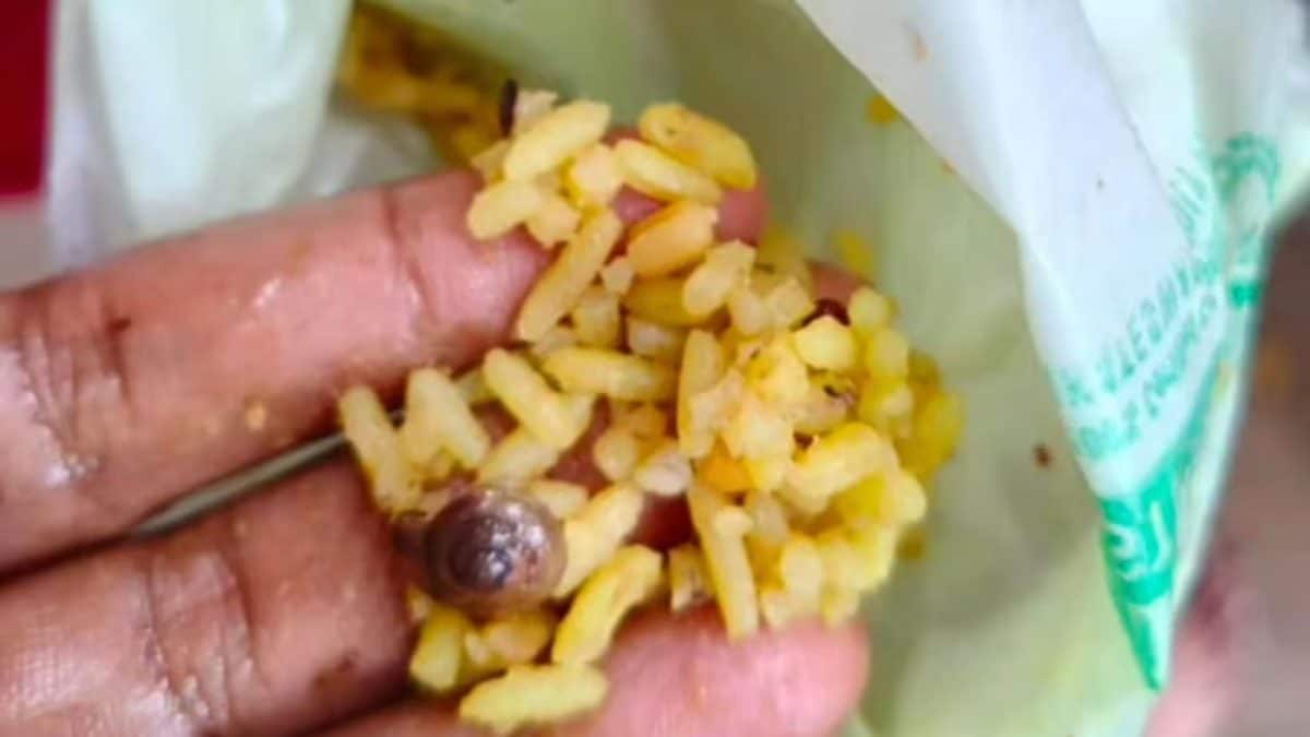 'Deliberate Attempt To Defame': Visakhapatnam Temple Reacts To Viral ...