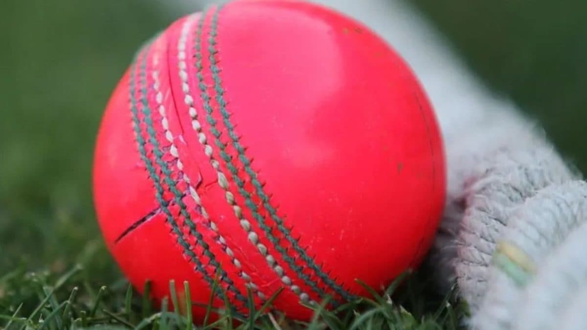 ‘Tu Ball Laake Nahi Dega?’: Man’s Grocery Trip In Delhi Turns Into ...