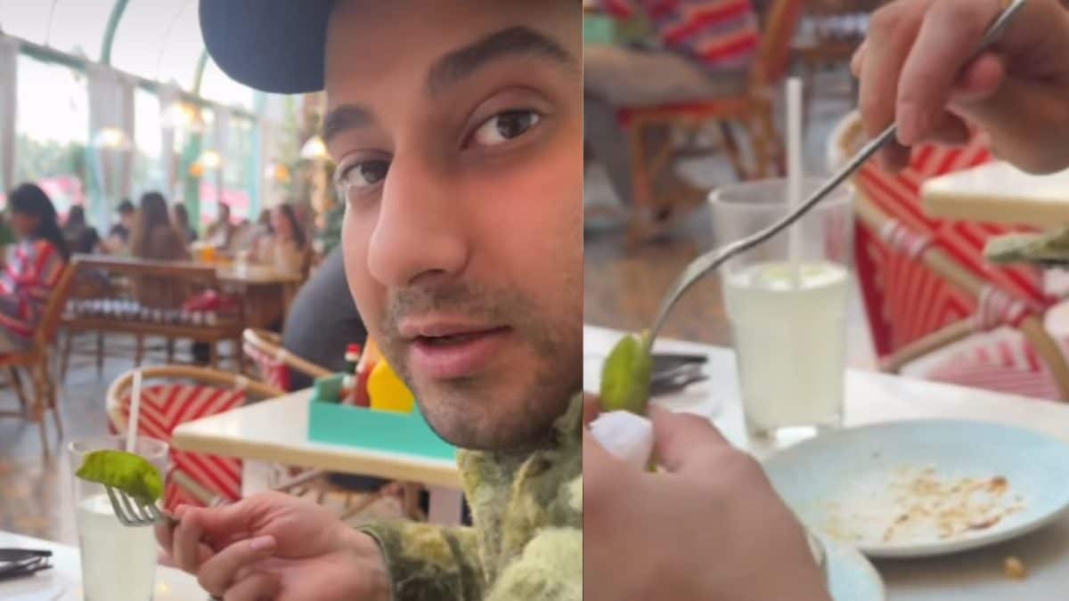 Edamame Or Matar Ka Chilka? Delhi Man’s Desi Logic Is A Clear Winner ...