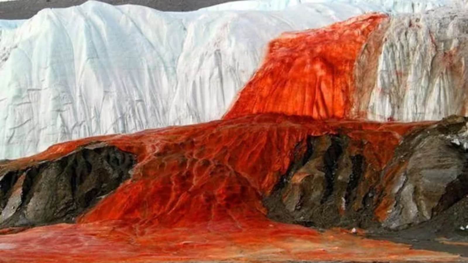 Blood Falls Mystery in Antarctica Solved: Microbes and Scientific ...