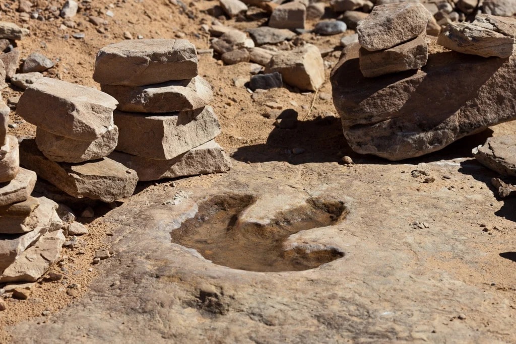 130-Million-Year-Old Dinosaur Footprints Found In THIS Country. It Is ...