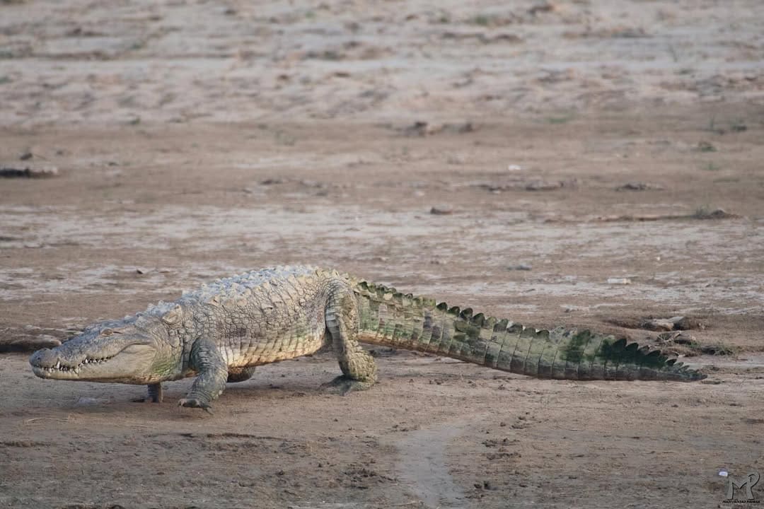 8 Best National Parks You Must Visit This Year