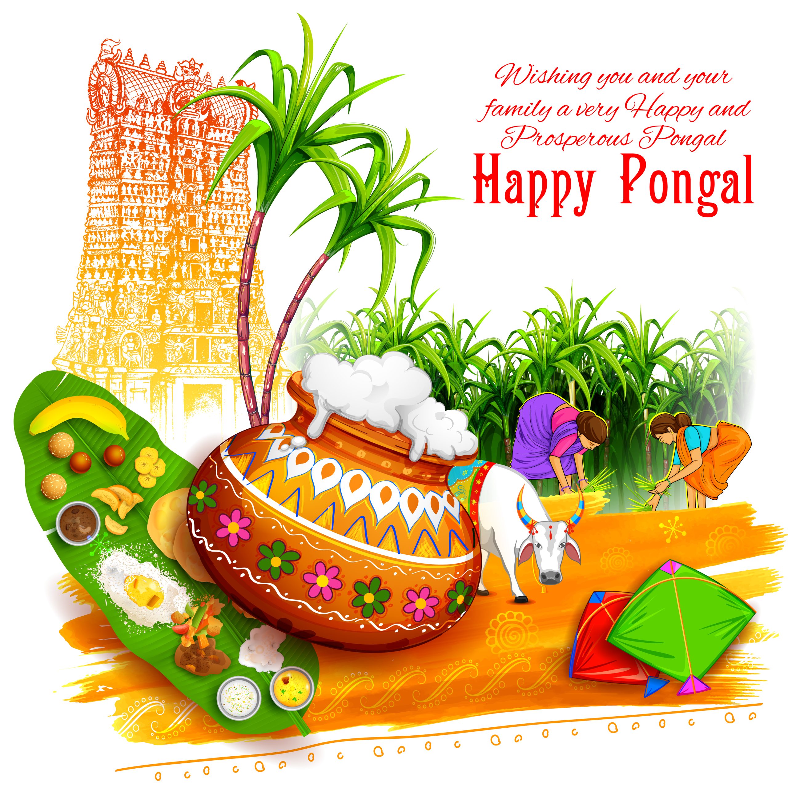 Pongal 2026: Bhogi, Thai Pongal, Mattu Pongal & Kaanum – Dates ...