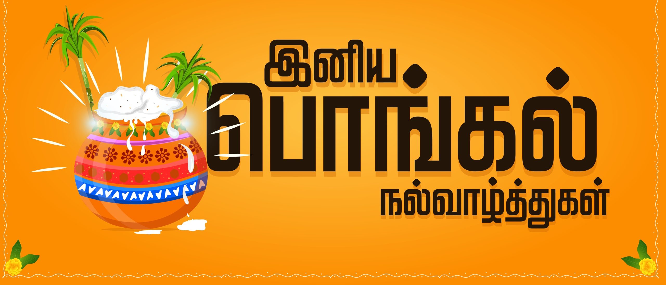 Happy Pongal 2026: Top 50 Wishes, Messages, Images And Quotes To Share ...