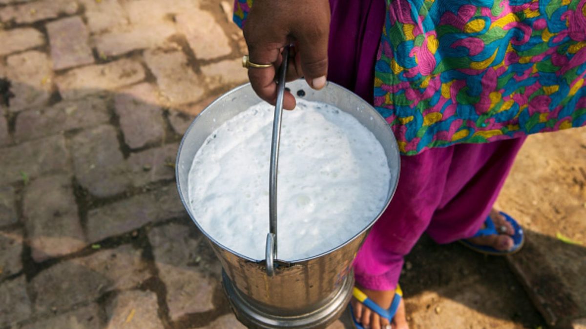 Is Your Milk Pure? Simple Home Tests To Check If It Is Adulterated With ...
