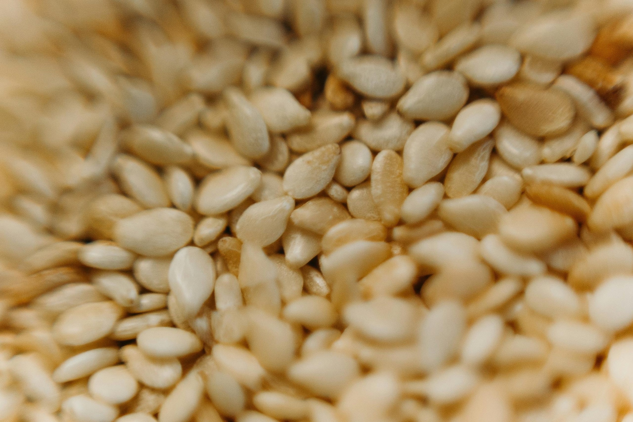 Why Sesame Seeds Are A Tiny Superfood For Your Health?