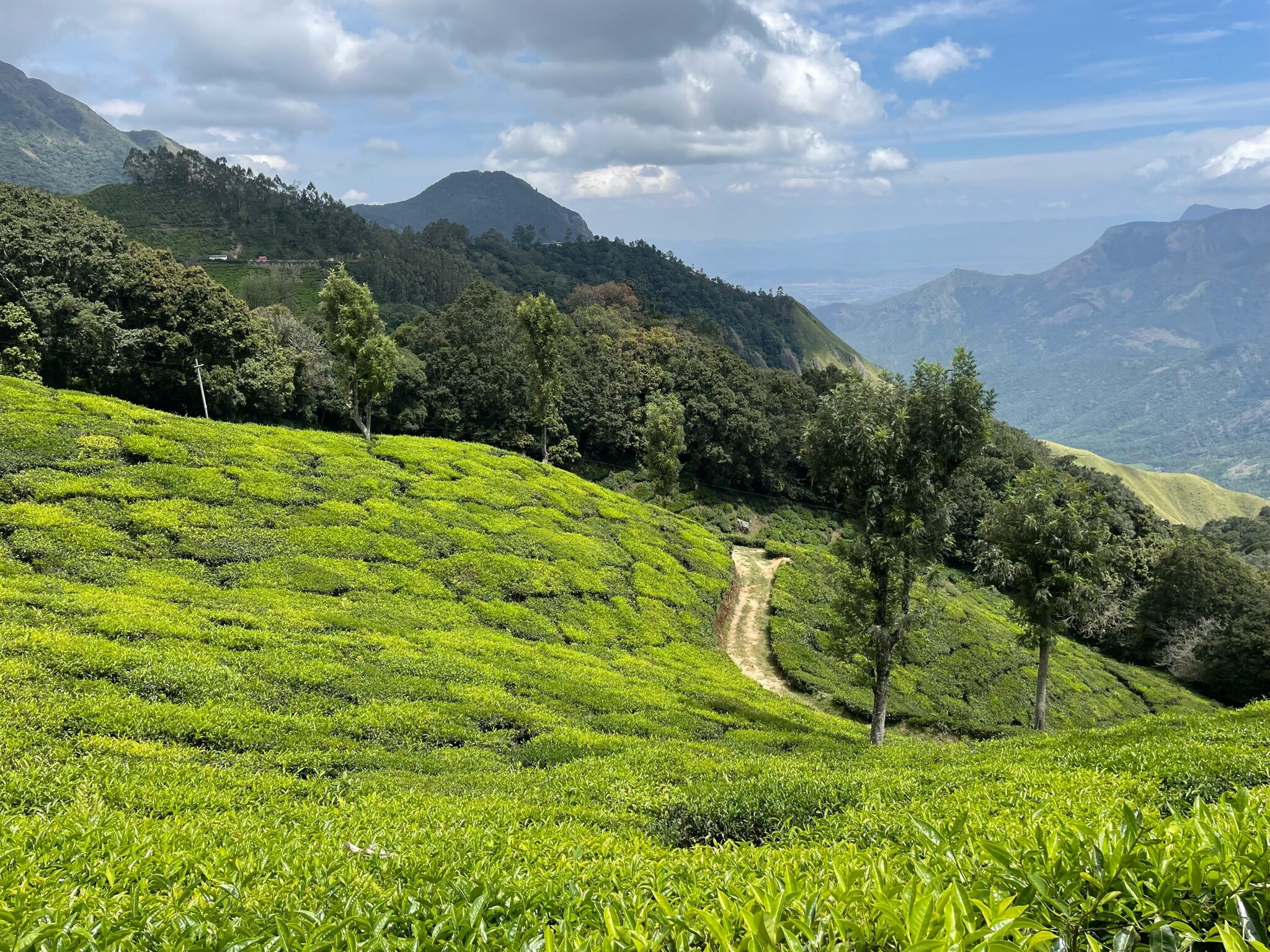 GK: Which City Is Known As The Cardamom City Of India?