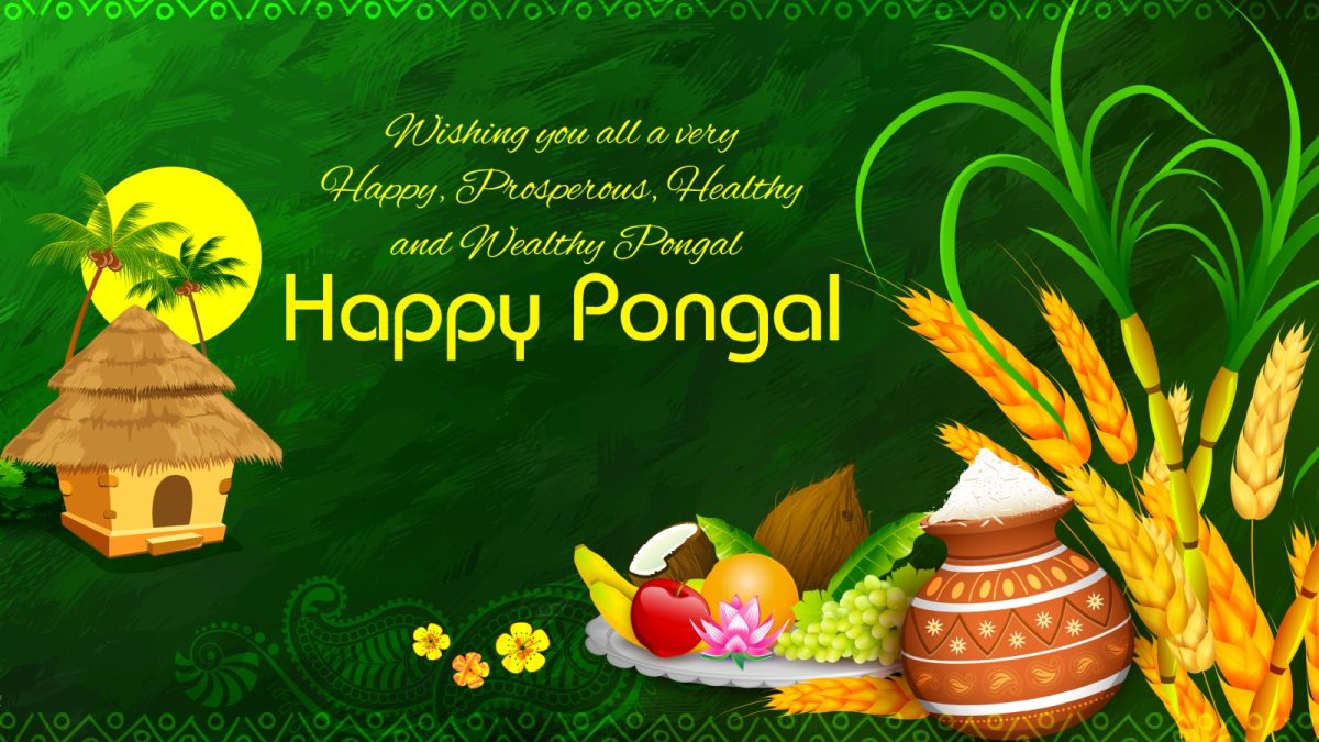Happy Pongal 2026 Wishes, images, Messages & Quotes for Loved Ones ...