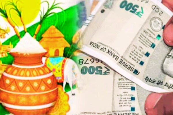 Pongal News: Latest Pongal News and Updates at News18