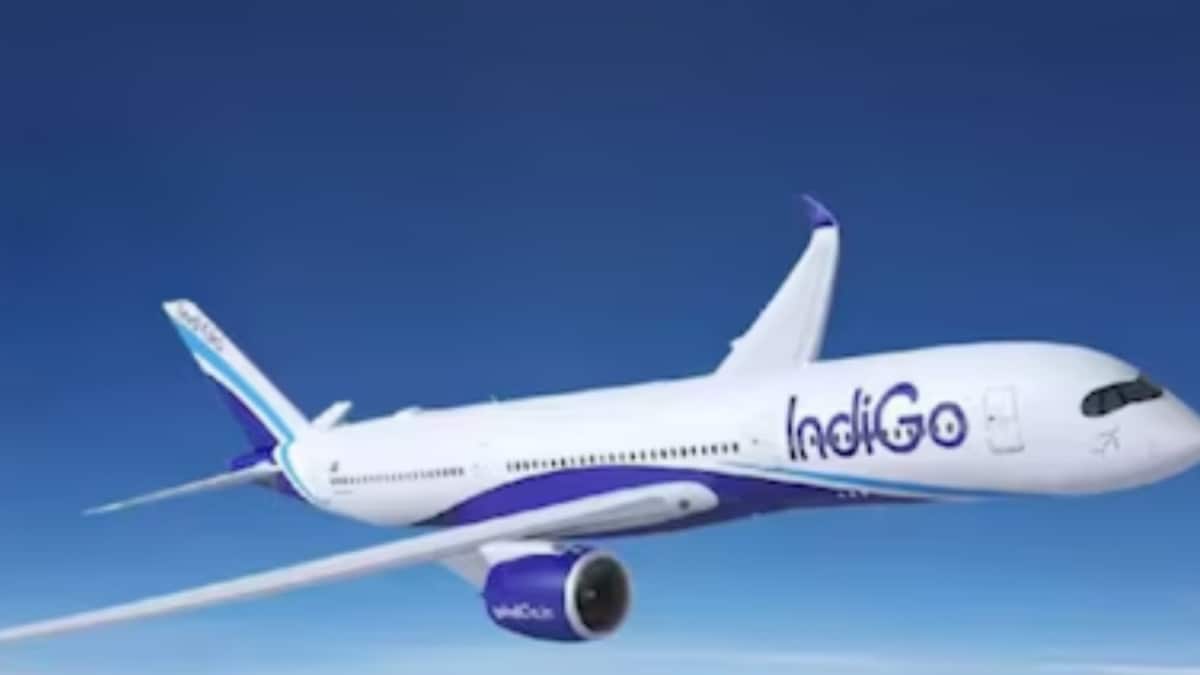 Writer Neelesh Misra Alleges IndiGo Staff Spoke Rudely To 10-Year-Old ...