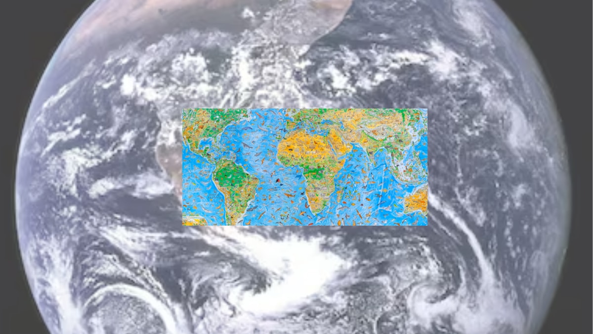Why This World Map With 1,642 Wild Animals Has Everyone’s Hearts ...