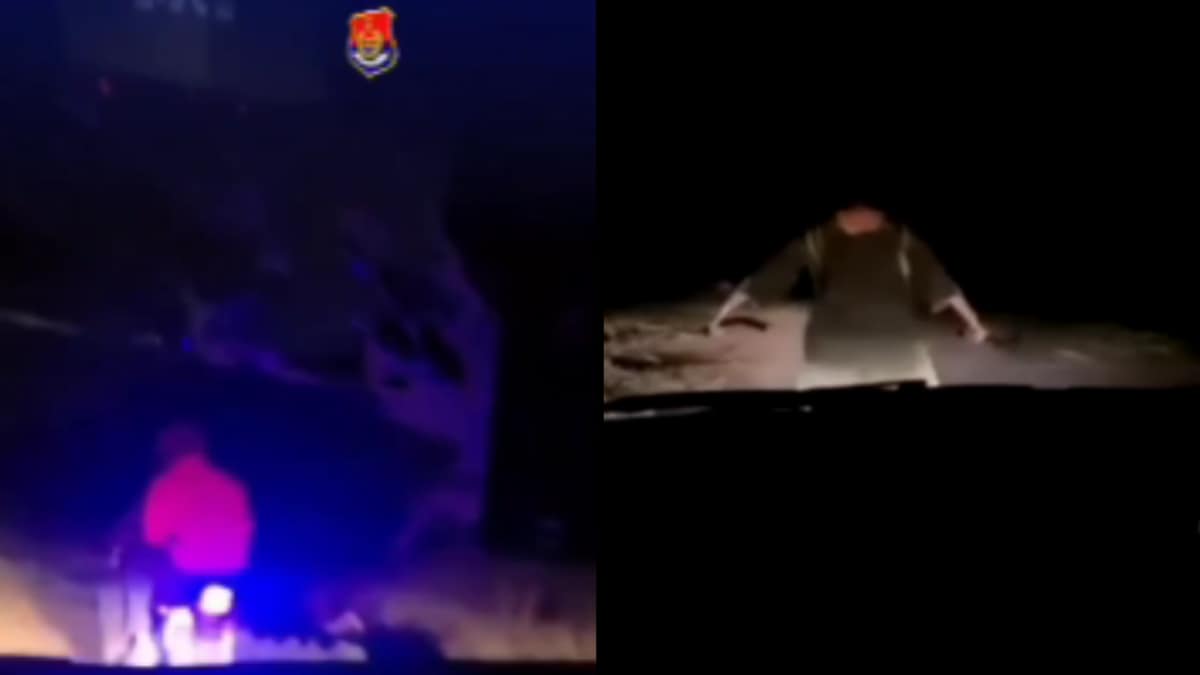 Ludhiana NRI Woman Harjind Kaur Foils Robbery with Sword Viral Video ...