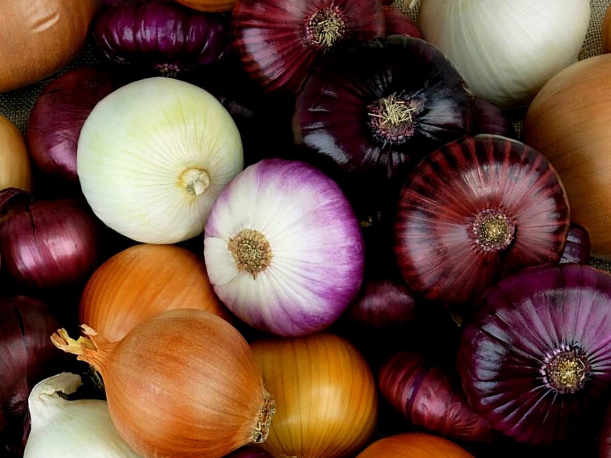 Onions With Every Meal? Here’s Why Some People Are Better Off Avoiding ...