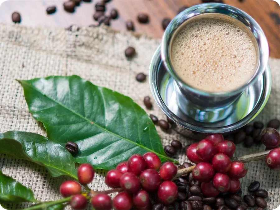 India AI Impact Summit 2026 Showcases Bharat GI Coffee Lounge in Delhi