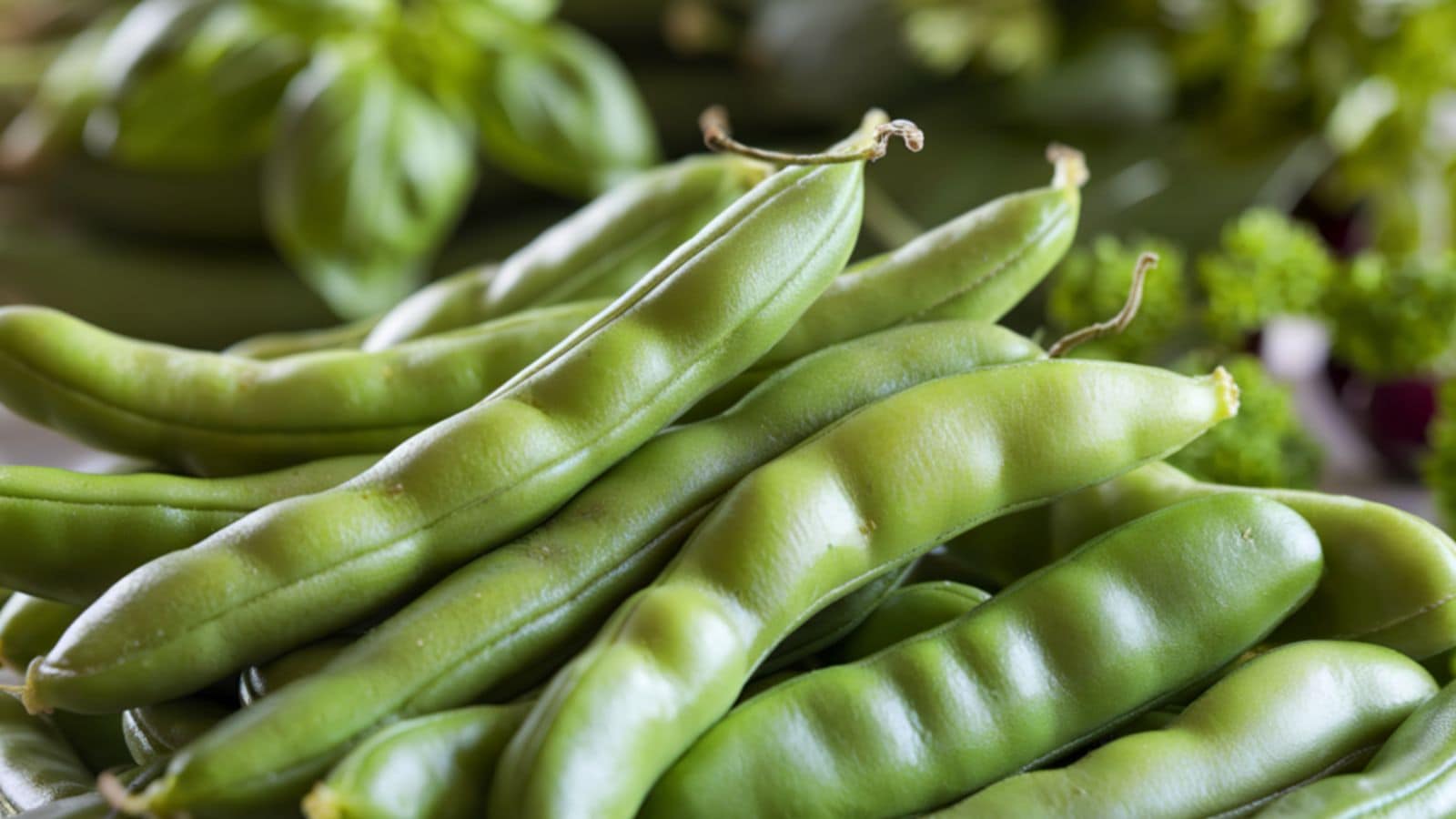 Beyond French Beans: Exploring India’s Diverse Green Bean Varieties