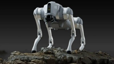 Galgotia University Demos China’s Unitree Go2 Robotic Dog: Everything ...